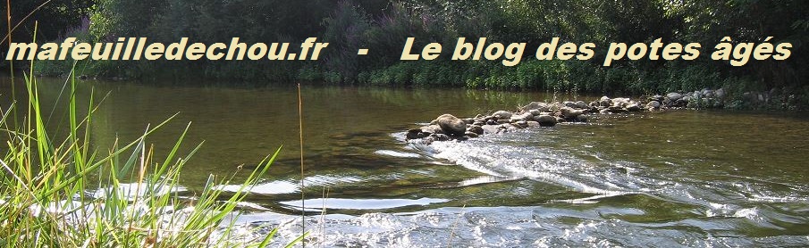 Un âne sortant du puits … Quelle vérité….! | JOURNAL LA CHOUETTE